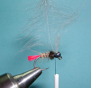 CDC Red Tag Nymph | Fly Fishing the Sierra