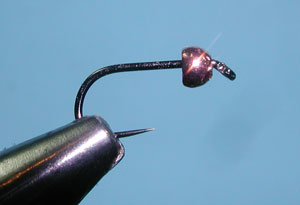 Perdigon Nymph – a tremendous torpedo