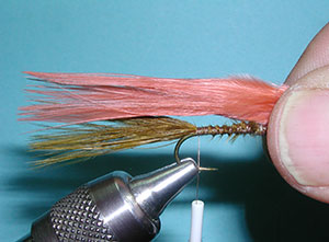 Thin Mint Bugger | Fly Fishing the Sierra